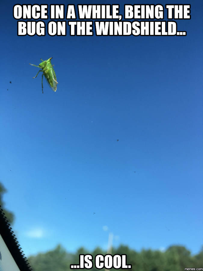 Monday Meme: “Bug on the Windshield” edition – Multi-modal-tudes…