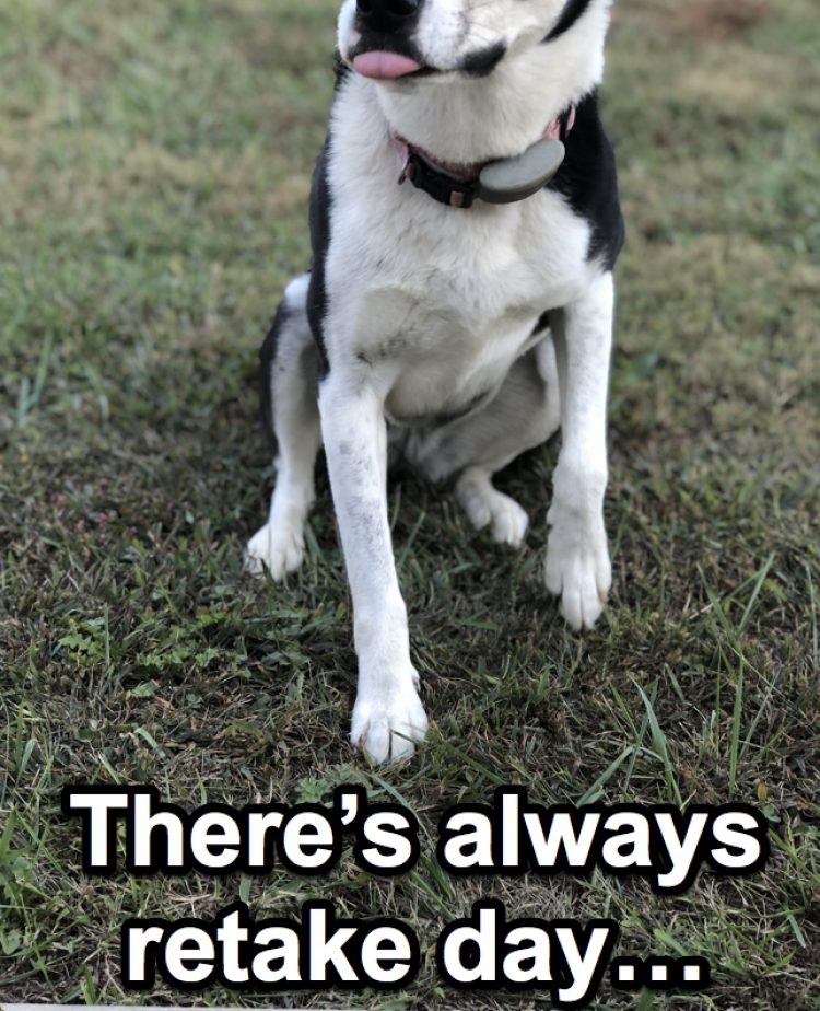 Monday Meme: Picture Retake Day – Multi-modal-tudes…